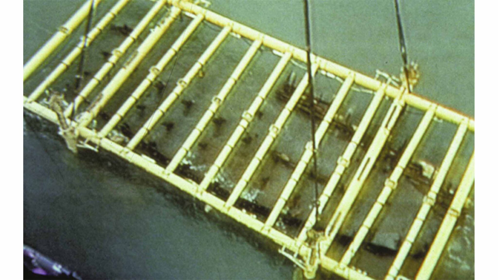 Five decades surveying the Mary Rose | Sonardyne